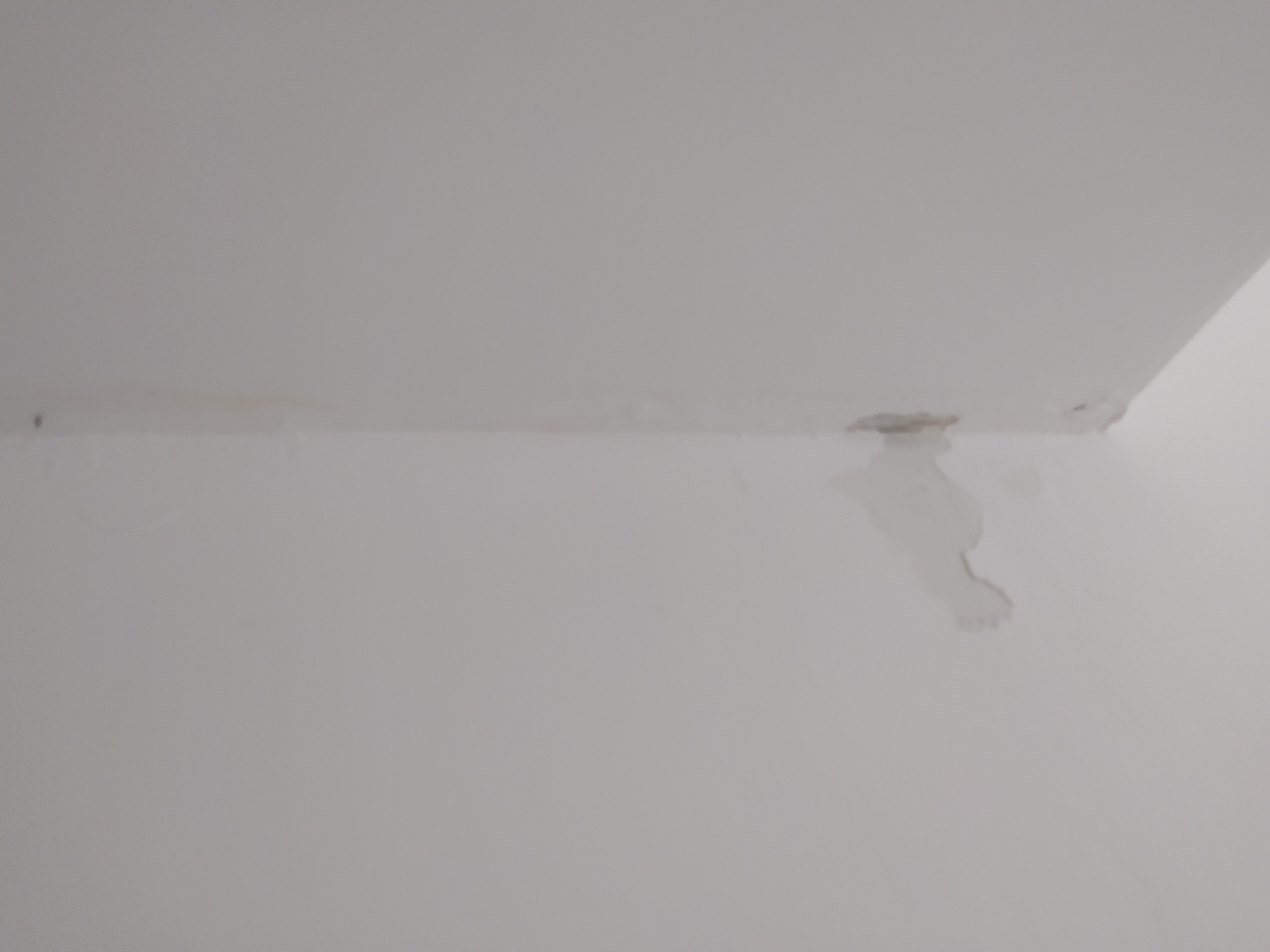 Remise en état des mur et plafond dégradés lors d'un dégât des eaux ...